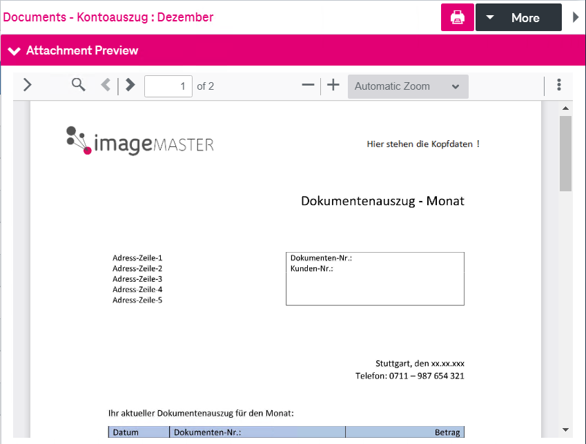 Document display with preview