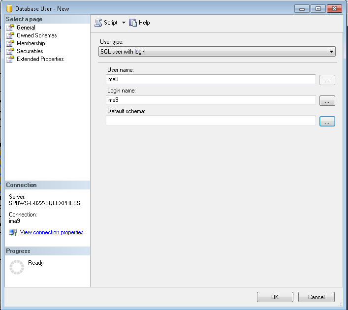 Manual database setup with Microsoft SQL Server Management Studio