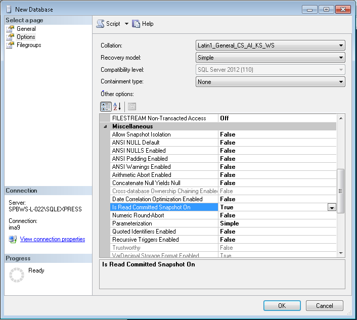 Manual database setup with Microsoft SQL Server Management Studio