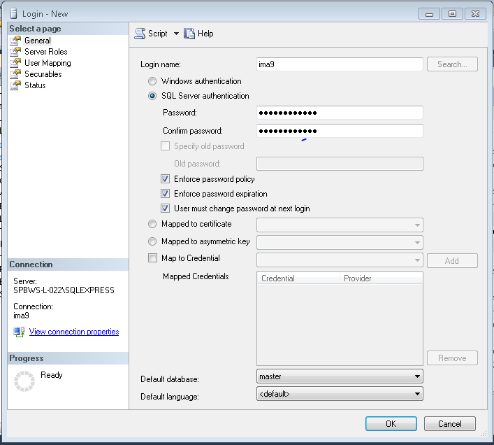 Manual database setup with Microsoft SQL Server Management Studio